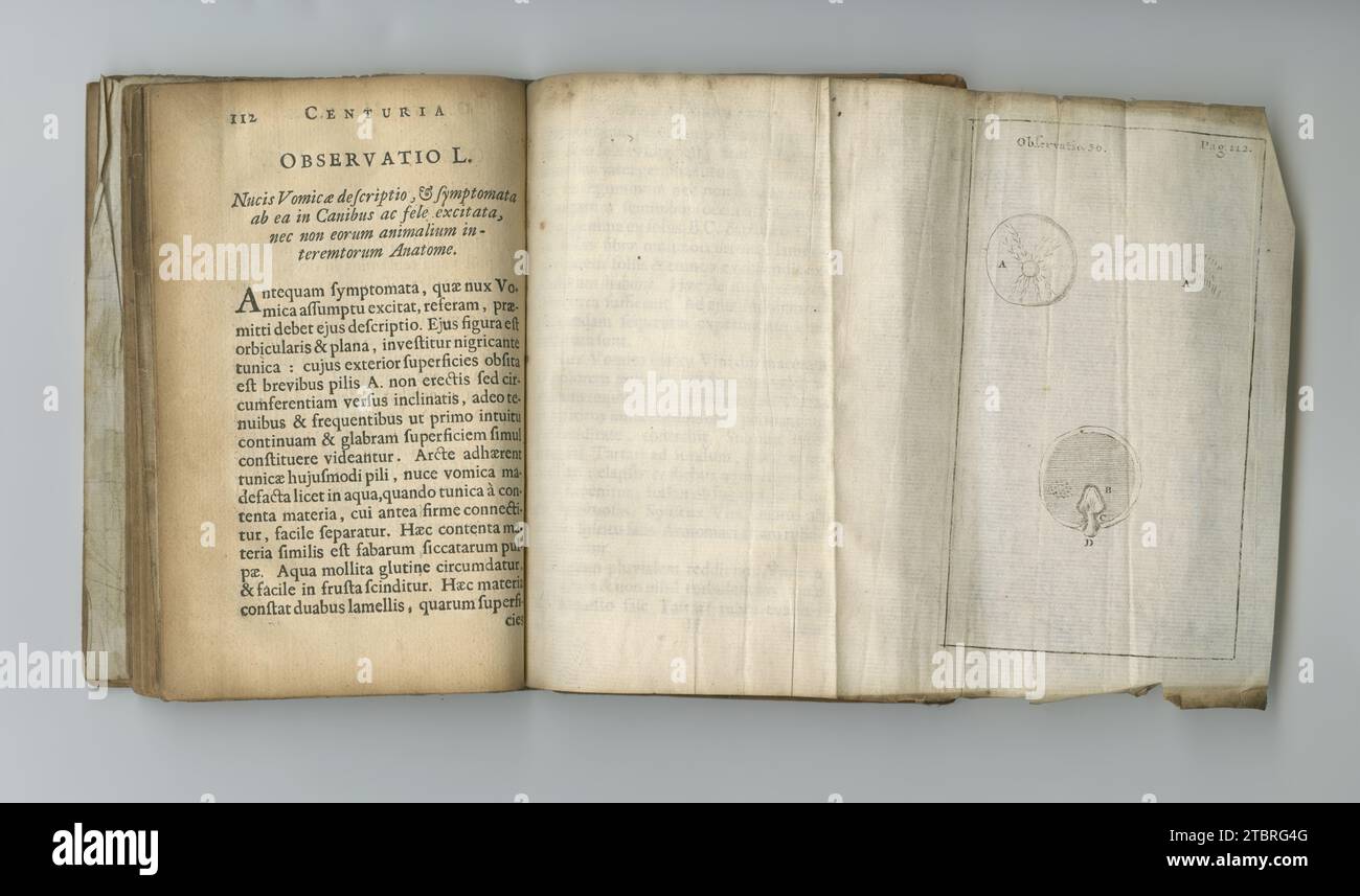 Antique medical page, knowledge and research on medicine study ...