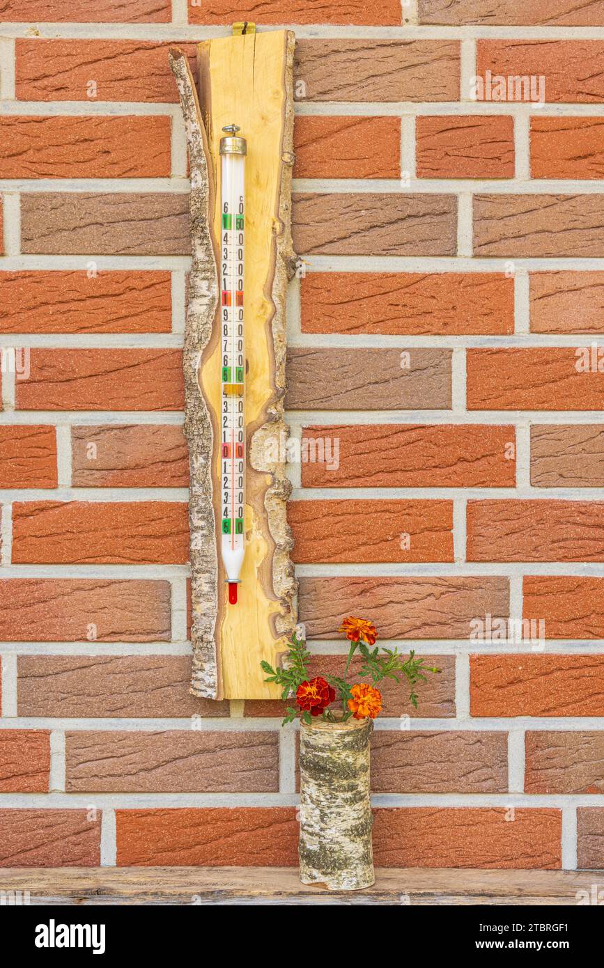 Old mercury thermometer in a wooden holder on a house wall Stock Photo ...