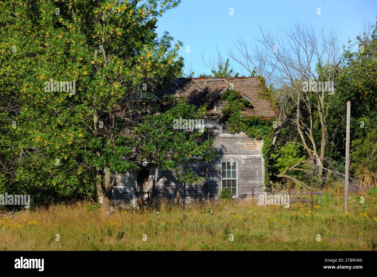 Deserted farm house is slowly being overgrown by vegetation. Two story ...