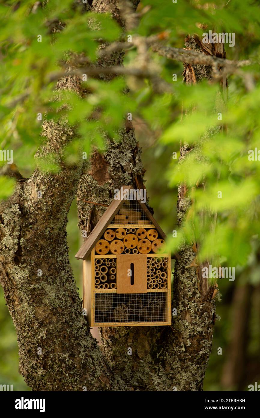 Rowan tree hotel hi-res stock photography and images - Alamy