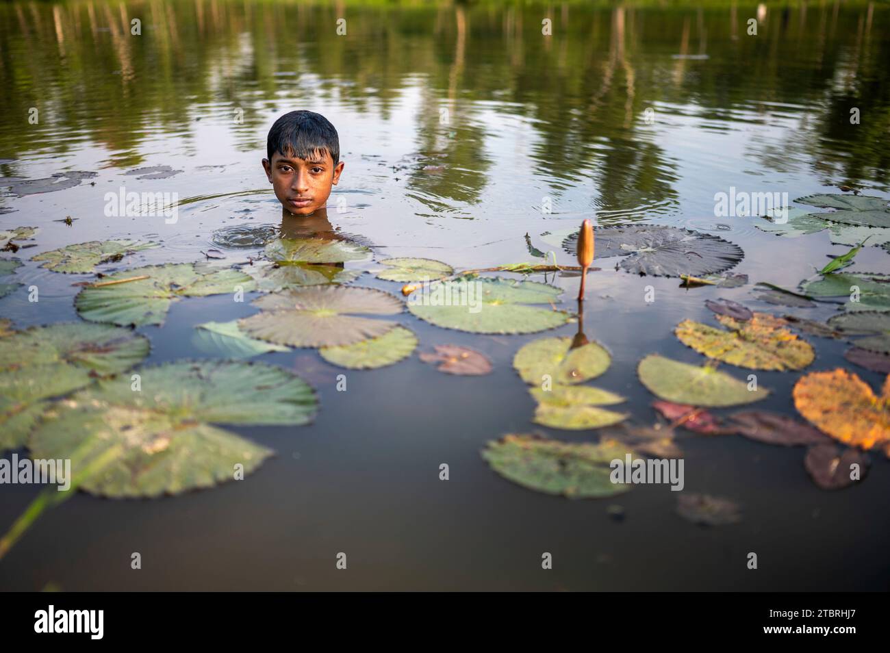 A teenager taking a bath in a pond at the tea plantations of Sylhet ...