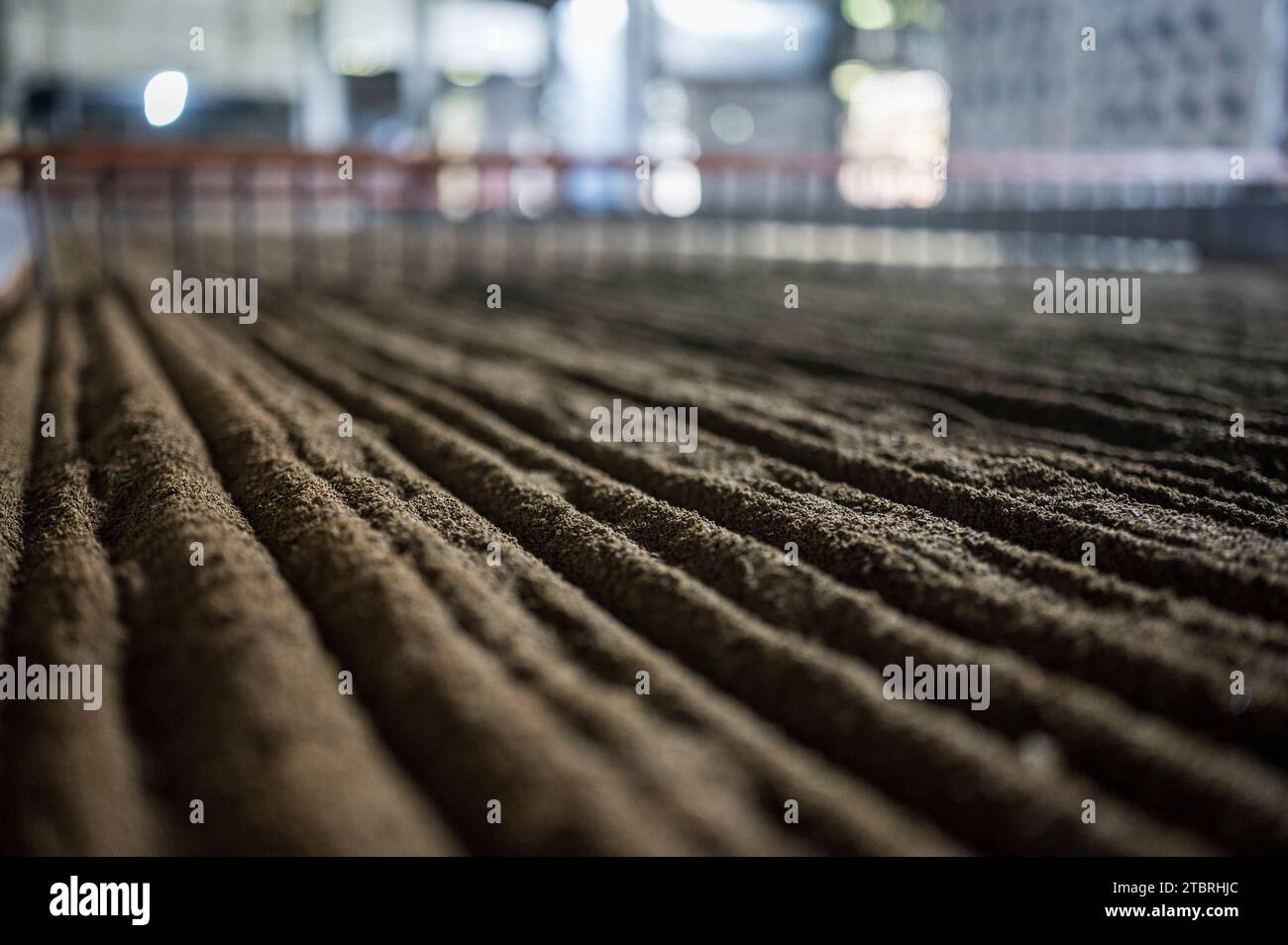 Tea factory in the tea plantations of Sylhet, northern Bangladesh Stock ...