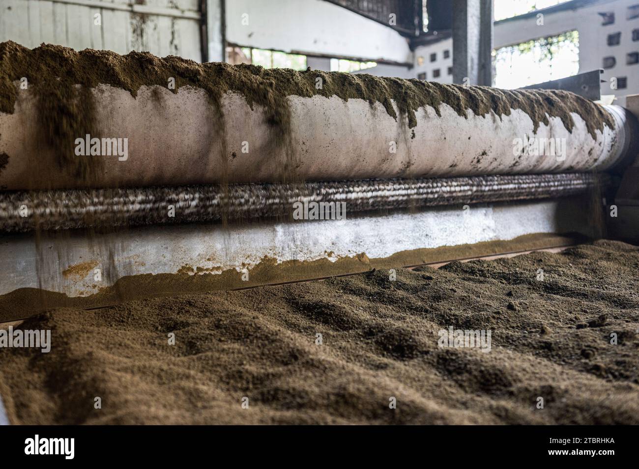 Tea factory plantation in hi-res stock photography and images - Alamy