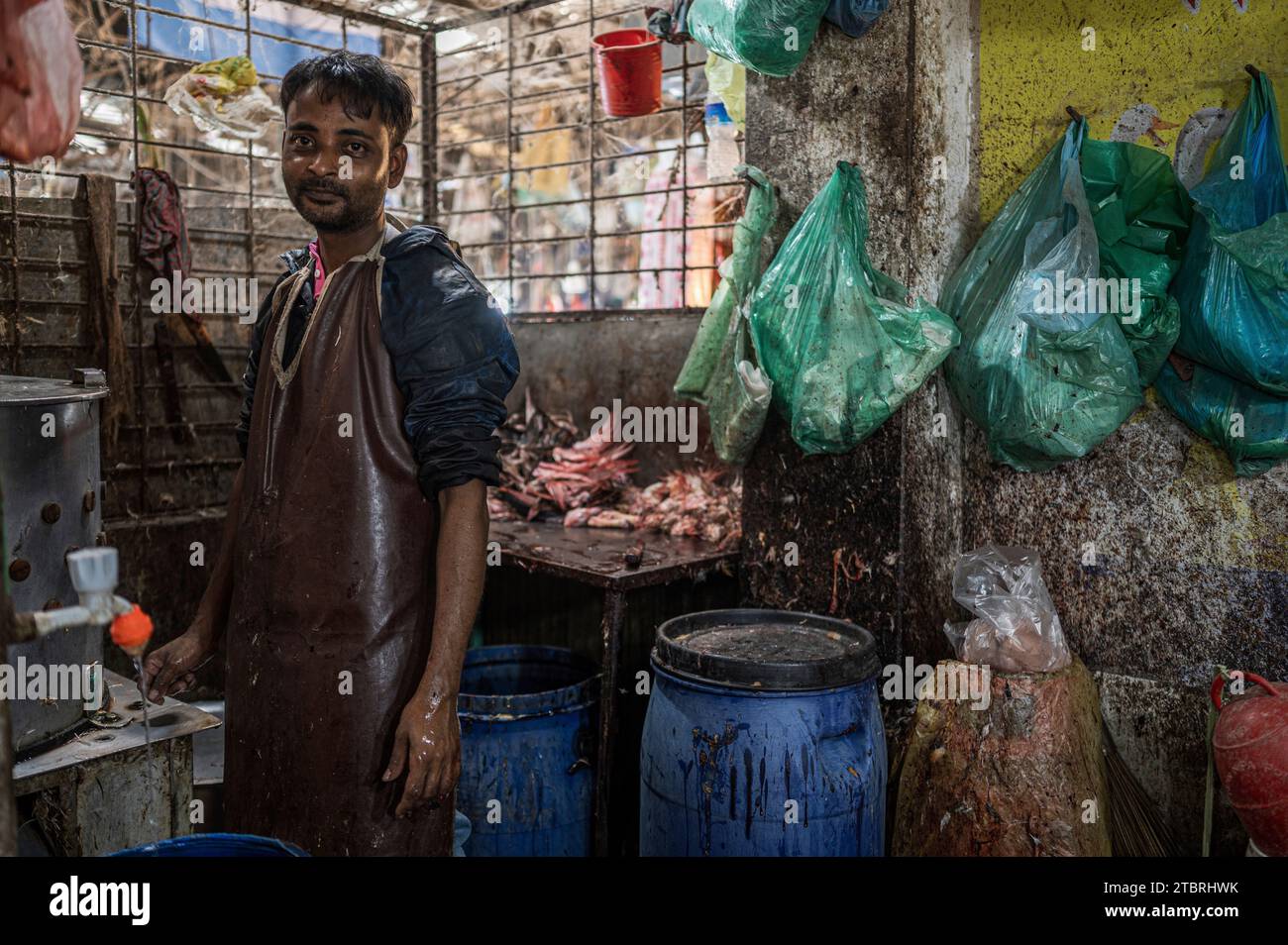 The typical Bangladeshi market. Butchers, fish, vegetables and spices ...