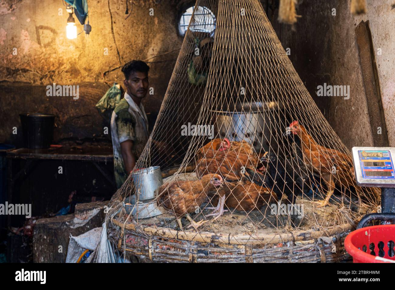 The typical Bangladeshi market. Butchers, fish, vegetables and spices ...