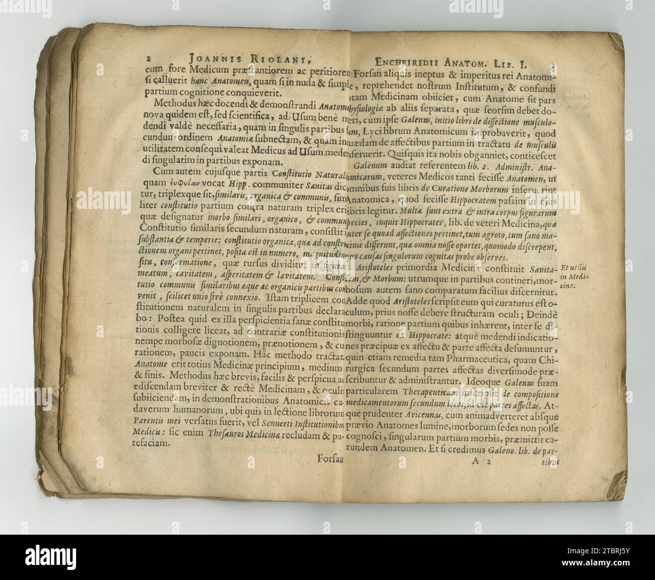 Book antique and pages with literature, research and manuscript with ...