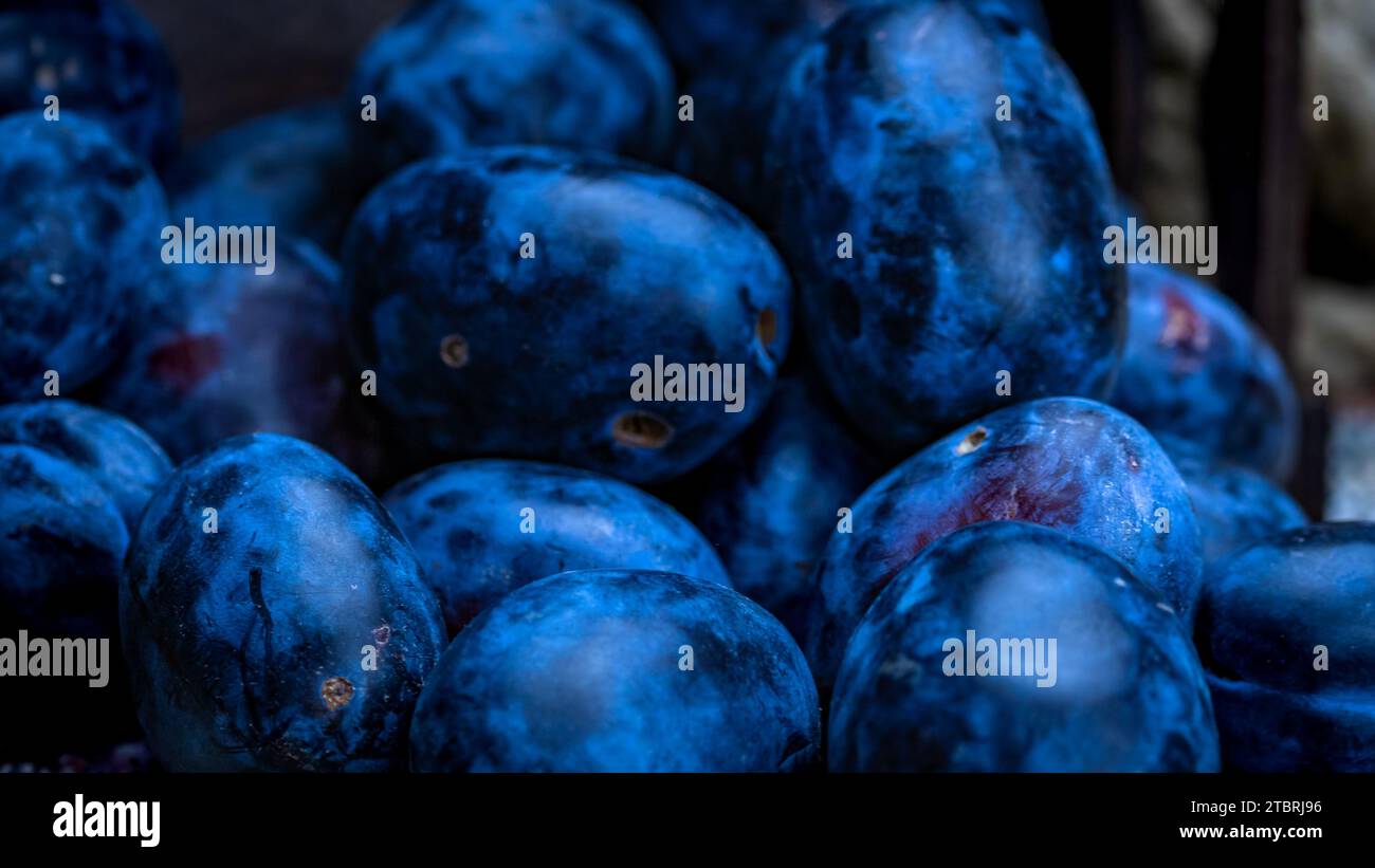 Ripe blue plums in a wooden crate in a rustic composition Stock Photo ...