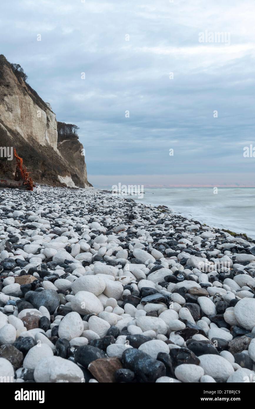 Beach on the Möns Klint cliff, chalk cliffs, Mön Island, Denmark Stock ...