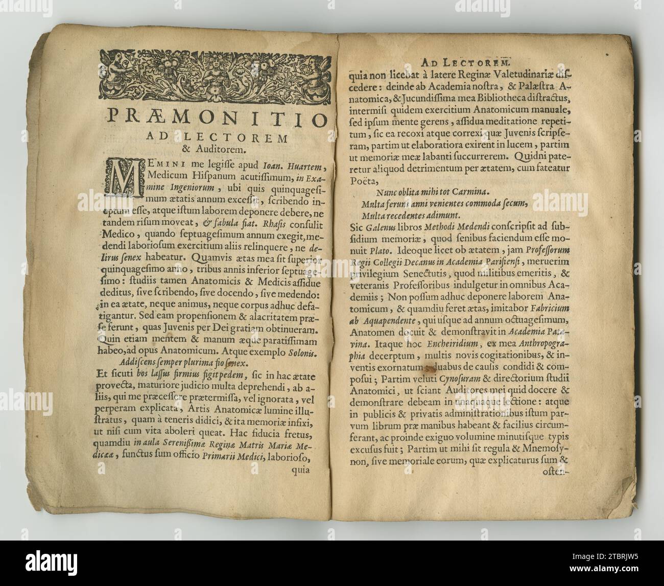 Vintage medical illustration hi-res stock photography and images - Alamy