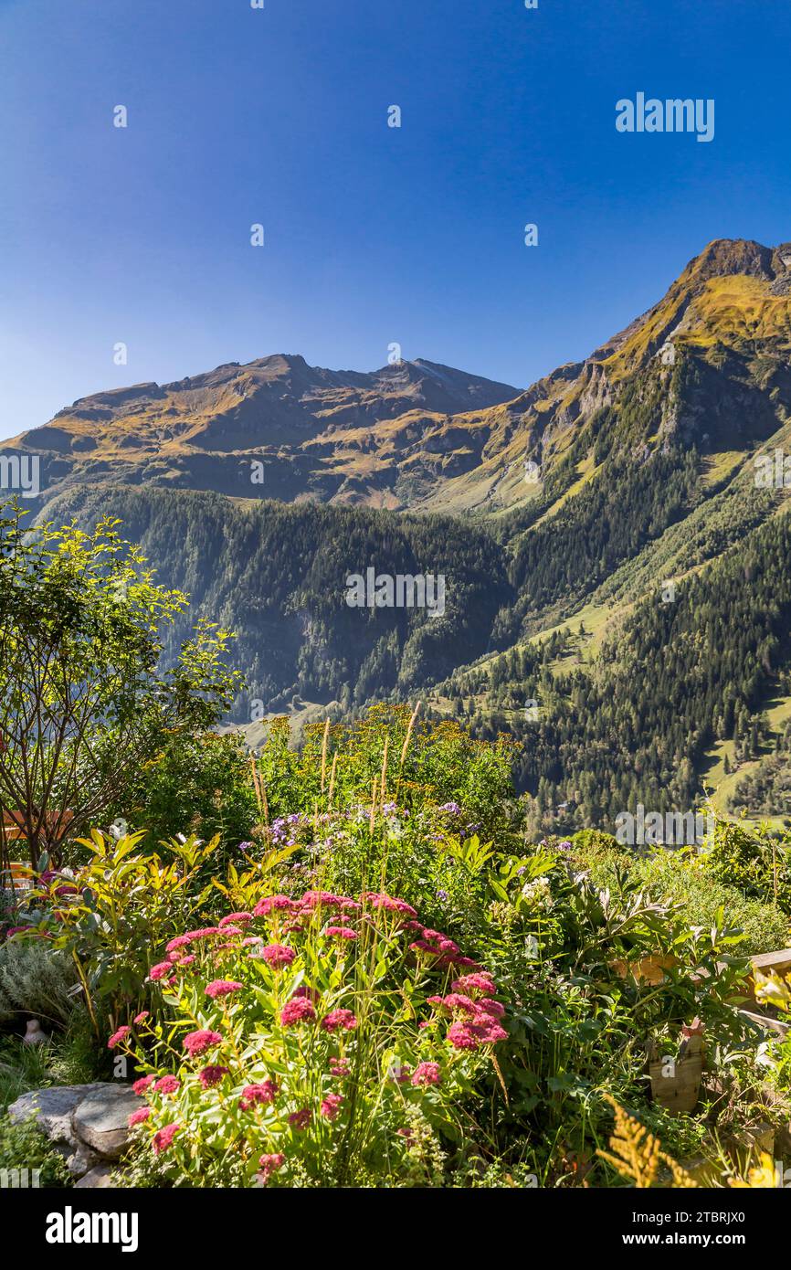 View of the mountain landscape from the Kalchkendlalm, Rote Wand, 2472 ...