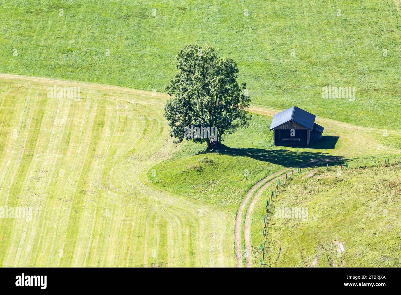 Alpine farm, Bucheben, Rauris, Rauris Valley, Pinzgau, Salzburger Land ...