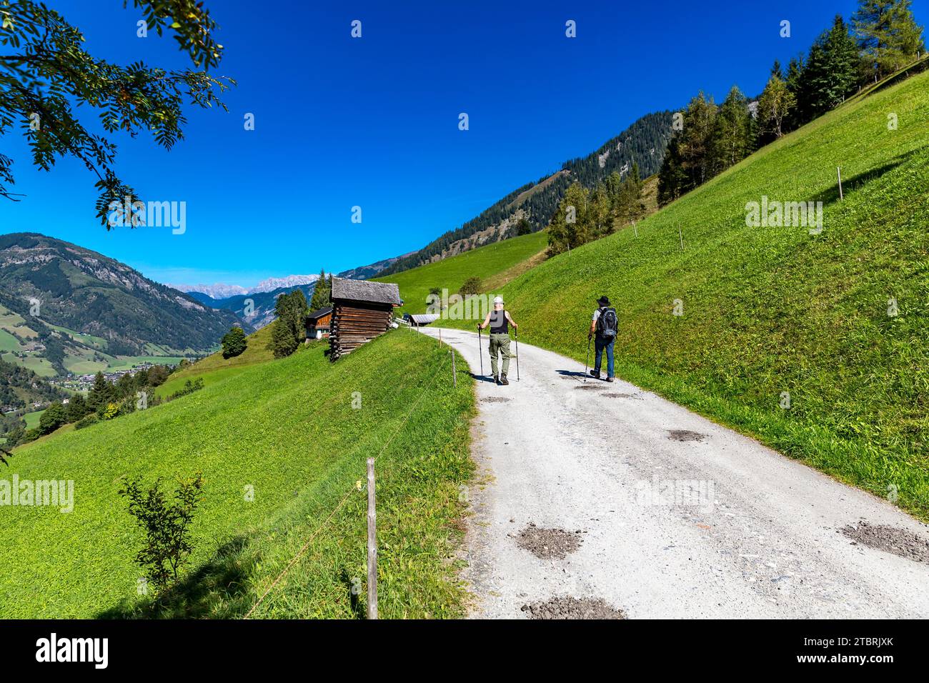 Baukogel hi-res stock photography and images - Alamy