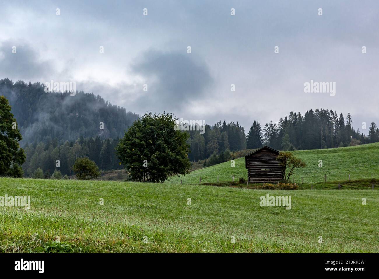 Barn in the morning fog, Alpine pasture on Fröstlberg in the Rauris ...