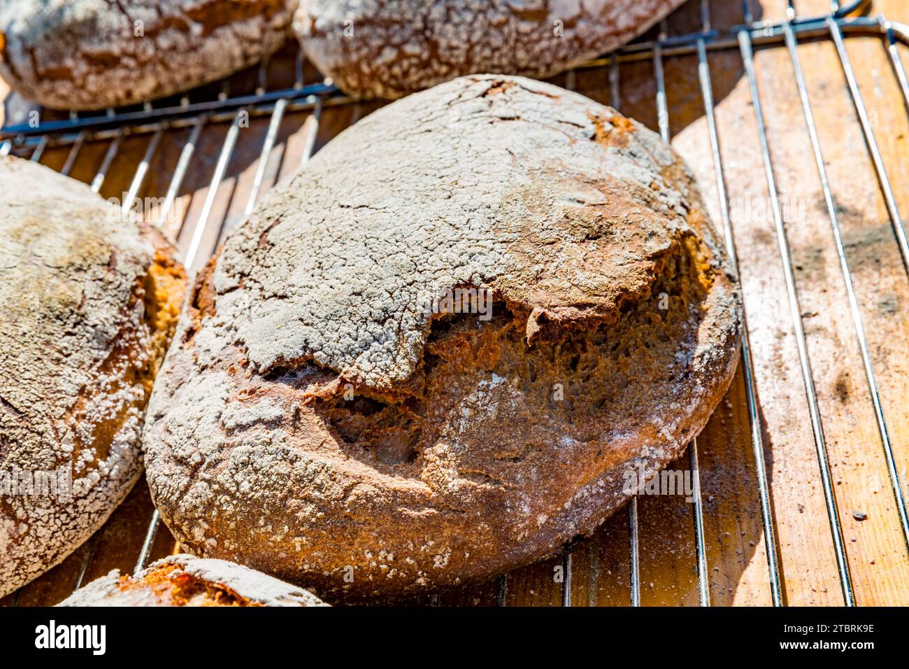 Three-grain bread made from wholemeal emmer, Ruchmehl and wholemeal rye ...