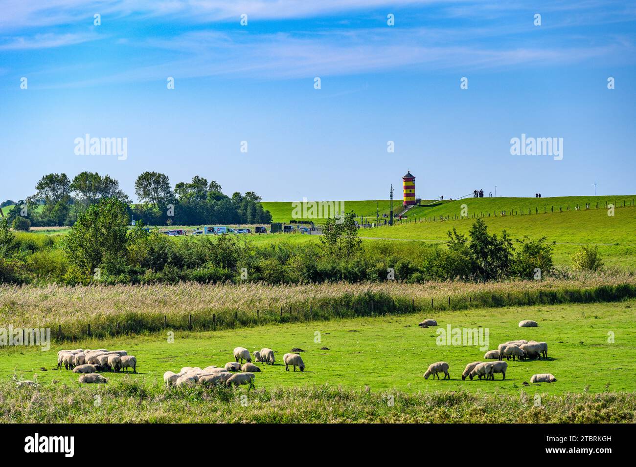 Germany, Lower Saxony, East Frisia, Pilsum, landscape with North Sea ...