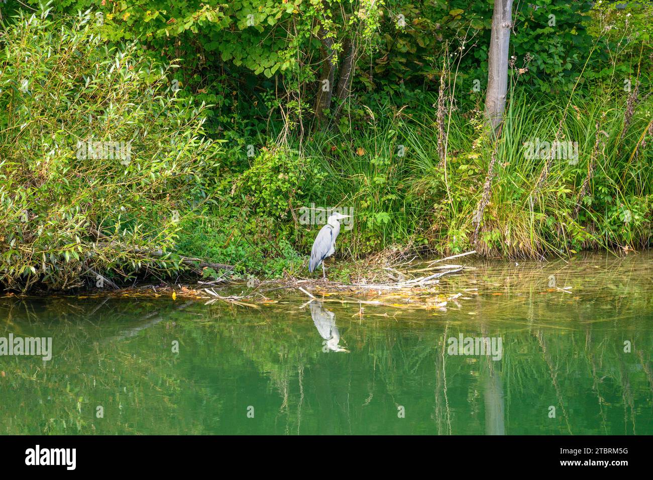 Pullach hi-res stock photography and images - Alamy