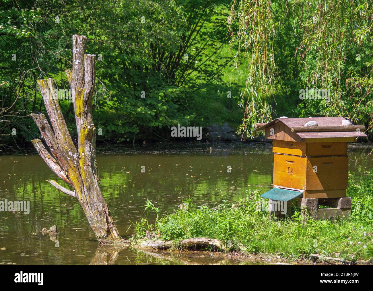 Bee box, beehive at a pond, Poing Wildlife Park, Bavaria, Germany ...