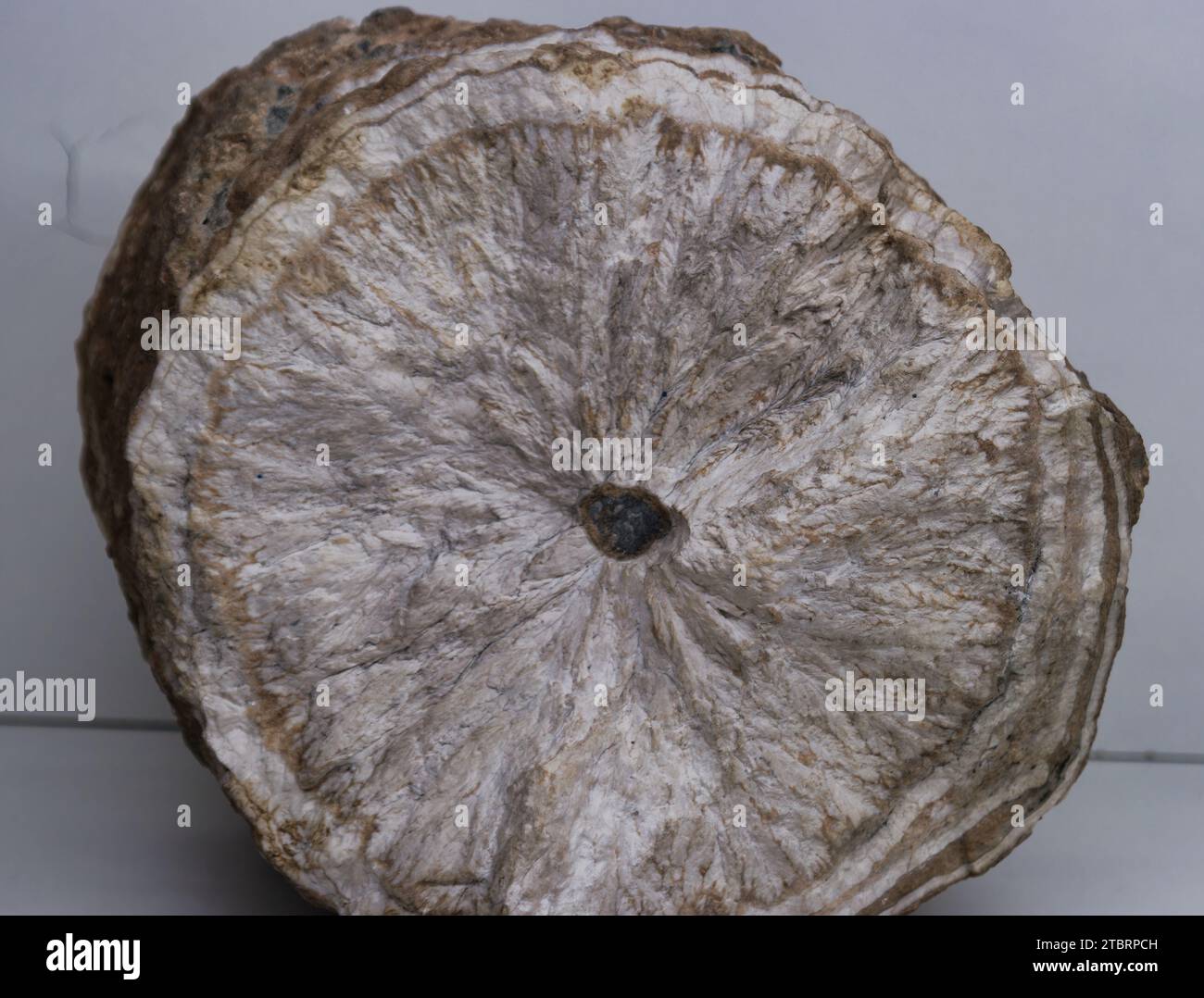 minerals nature geology Stock Photo - Alamy