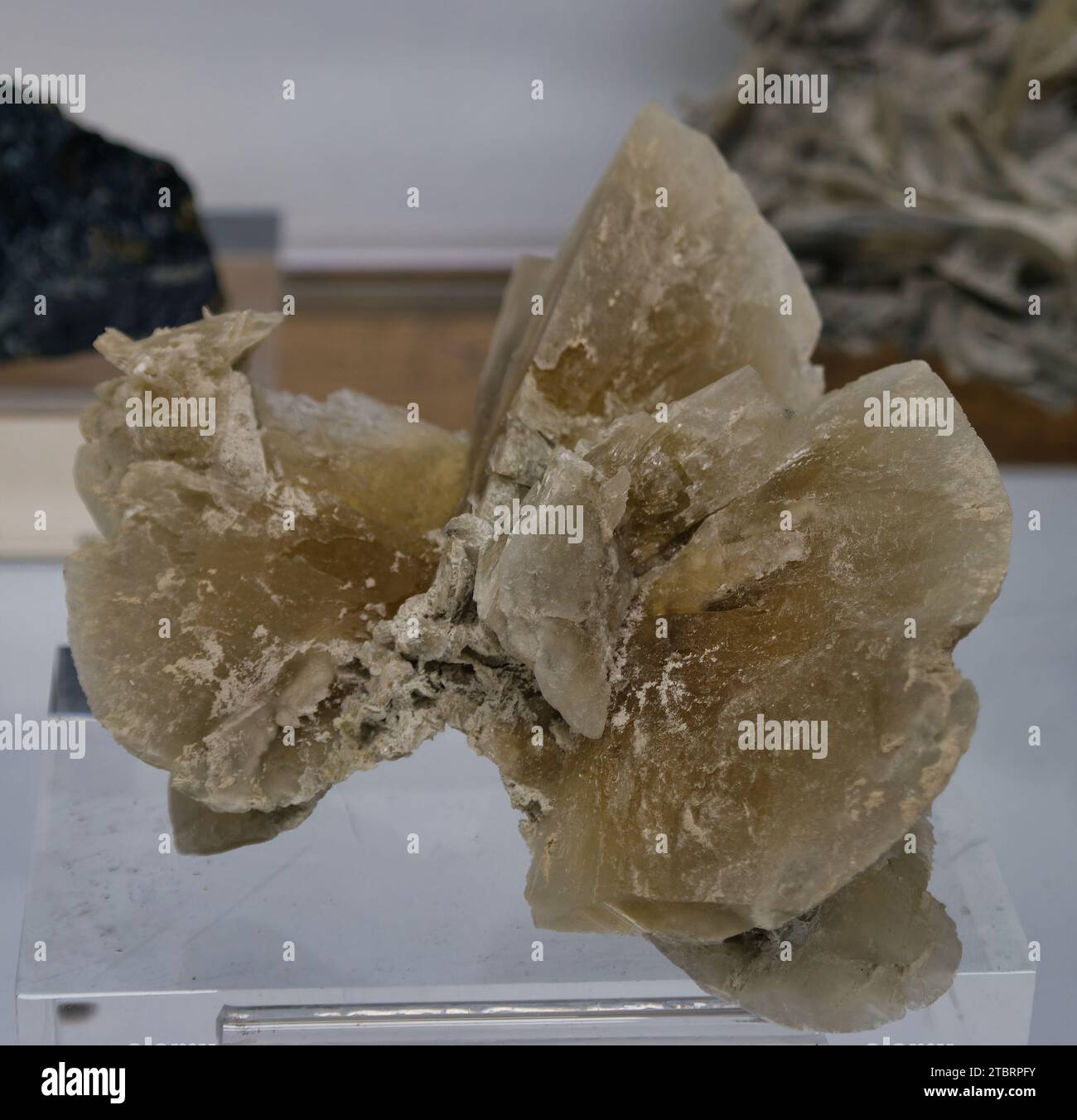 Minerals research hi-res stock photography and images - Alamy