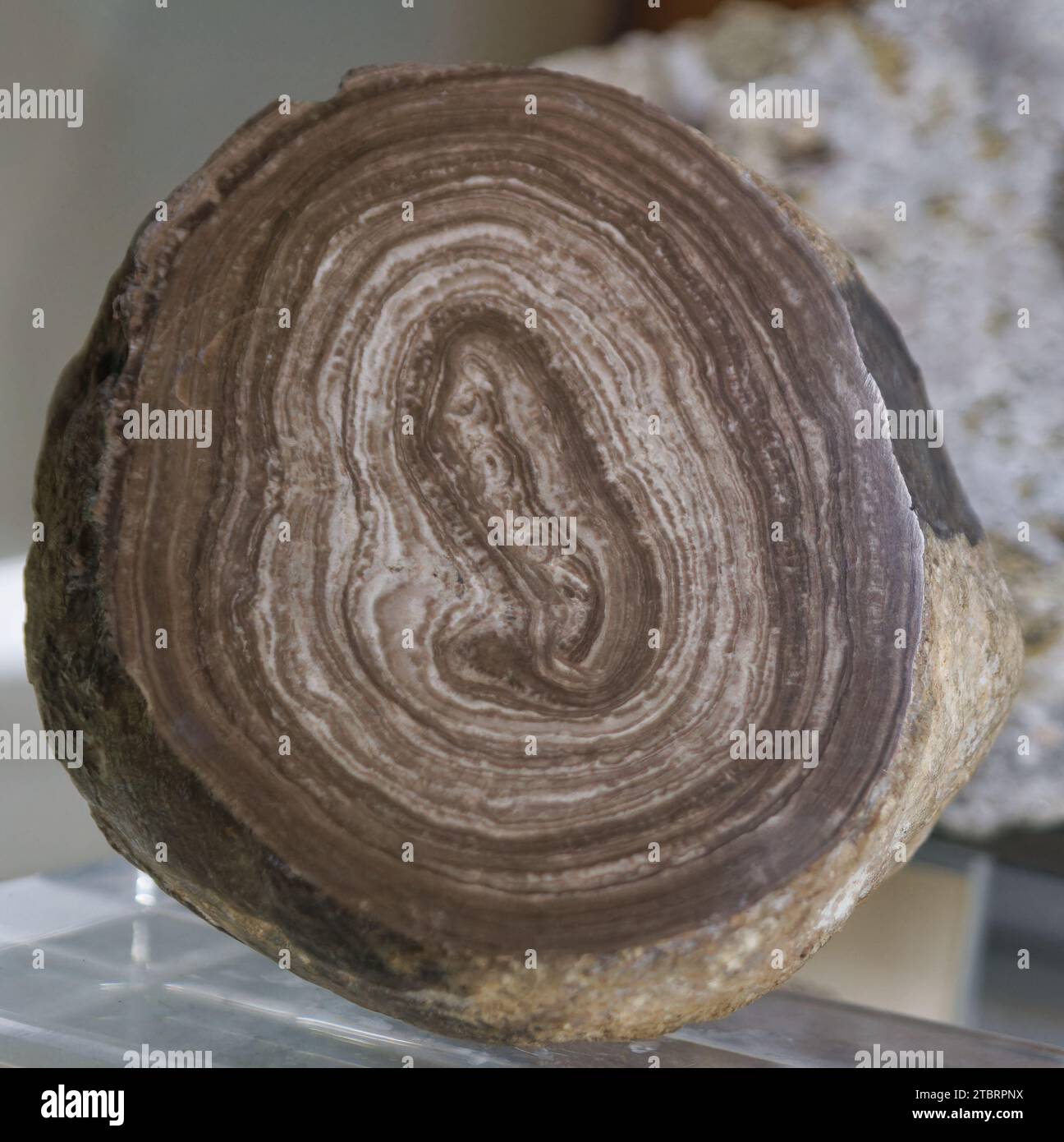 minerals nature geology Stock Photo - Alamy