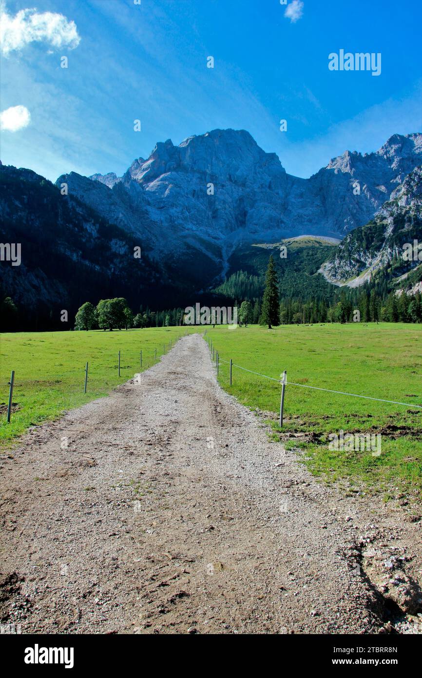 Dream path into the Karwendel, maple trees line the path at the ...