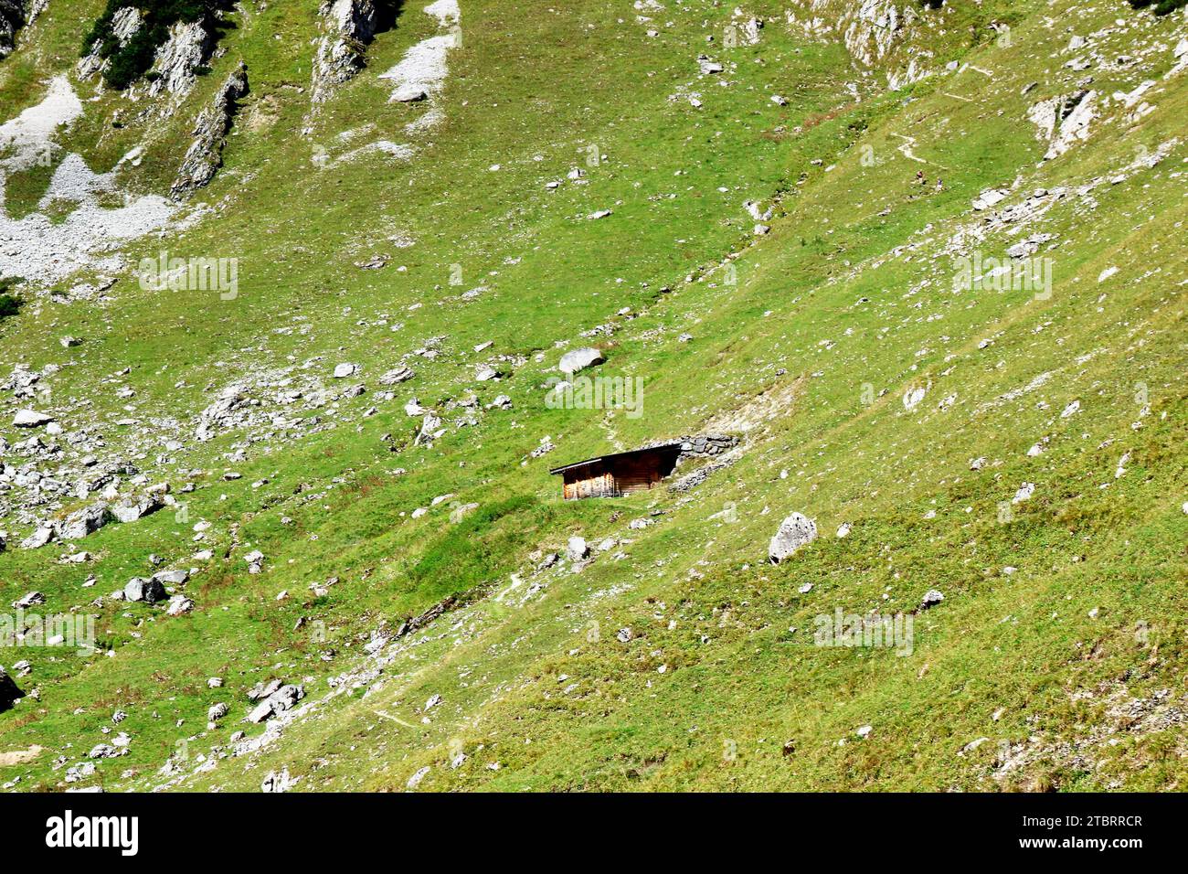 High ridge of the Tortal Alm, green meadows line the path, it is early ...