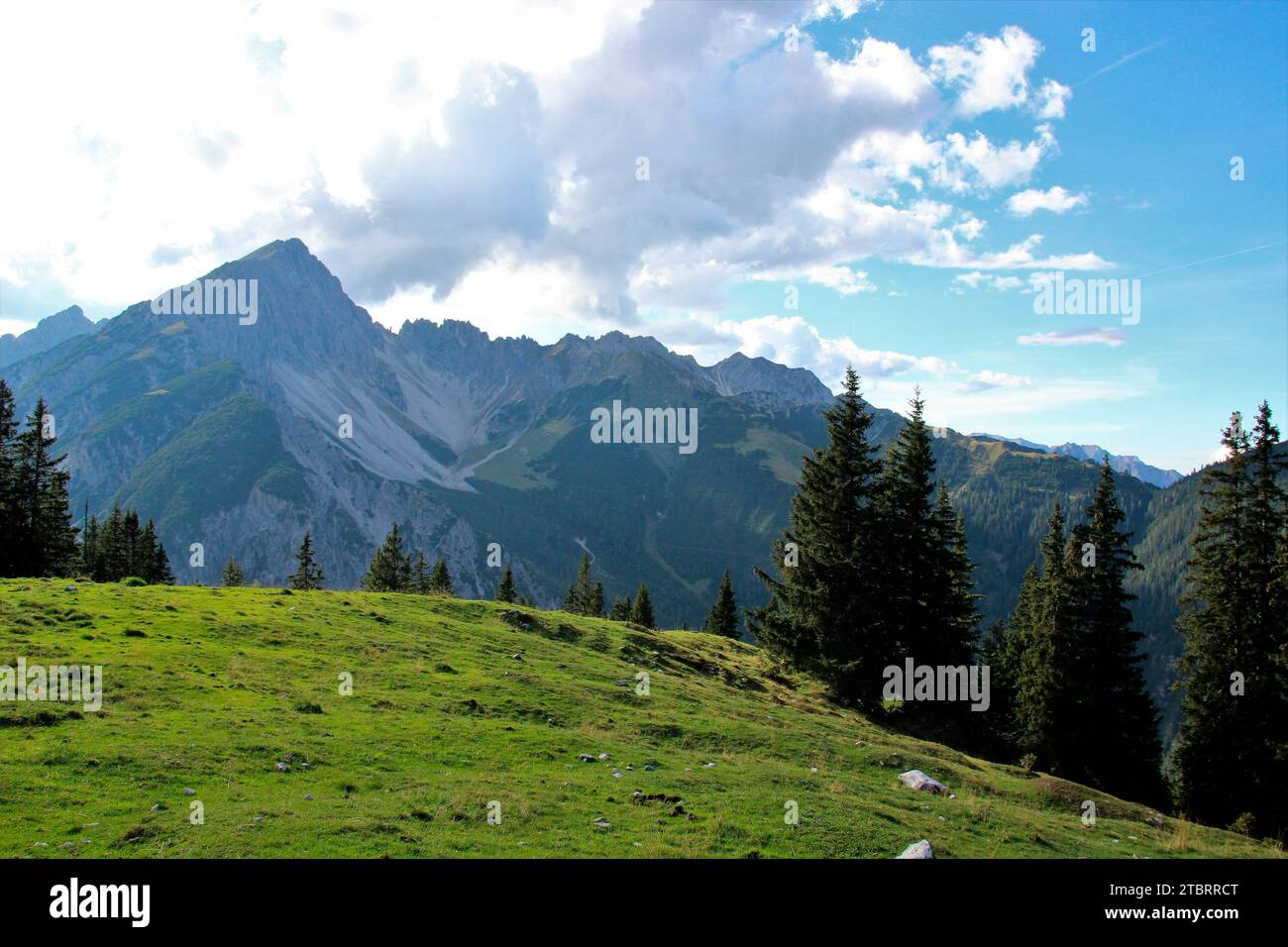 Penum hi-res stock photography and images - Alamy