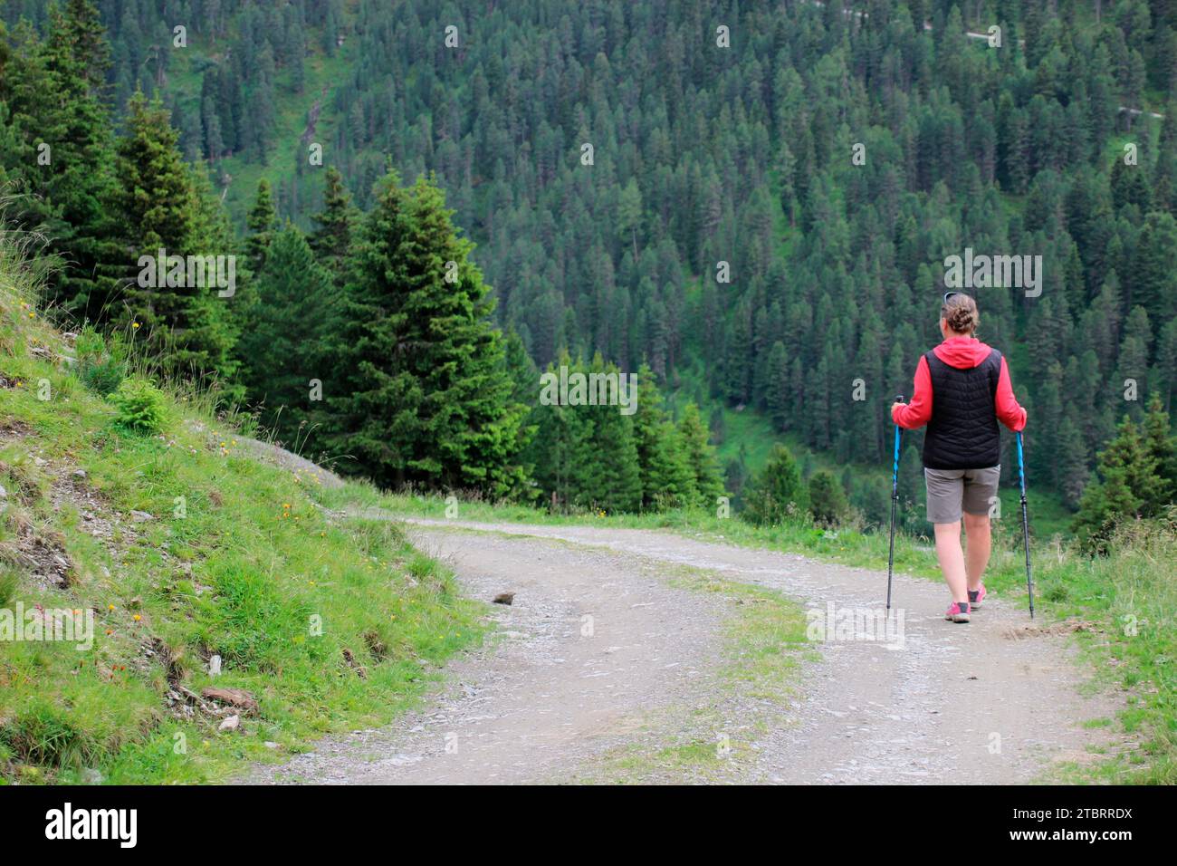 Back view from behind back view tourist hi-res stock photography and ...