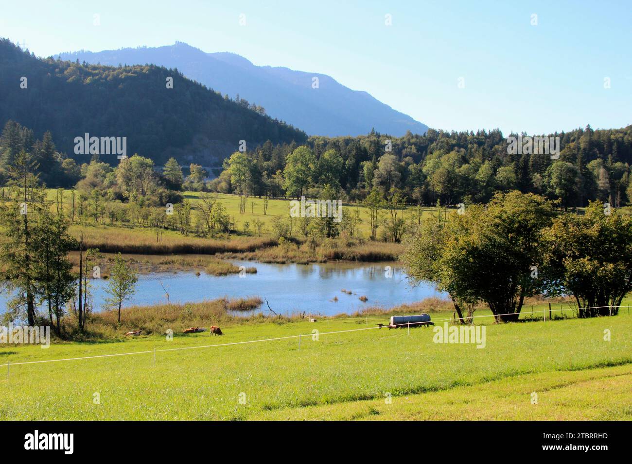 Seven springs moorland area in the loisach valley hi-res stock ...