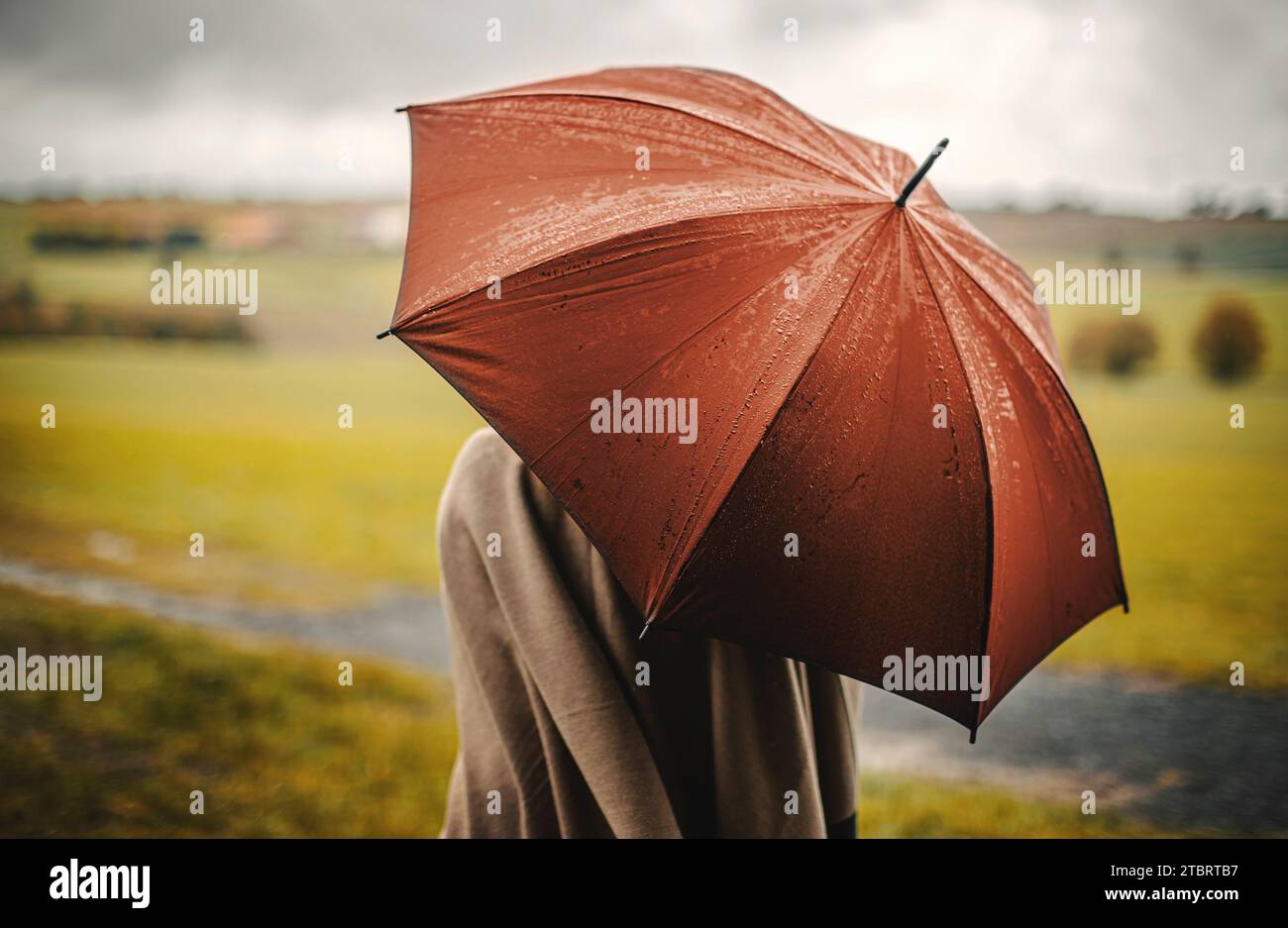 Back view woman umbrella walking hi-res stock photography and images ...
