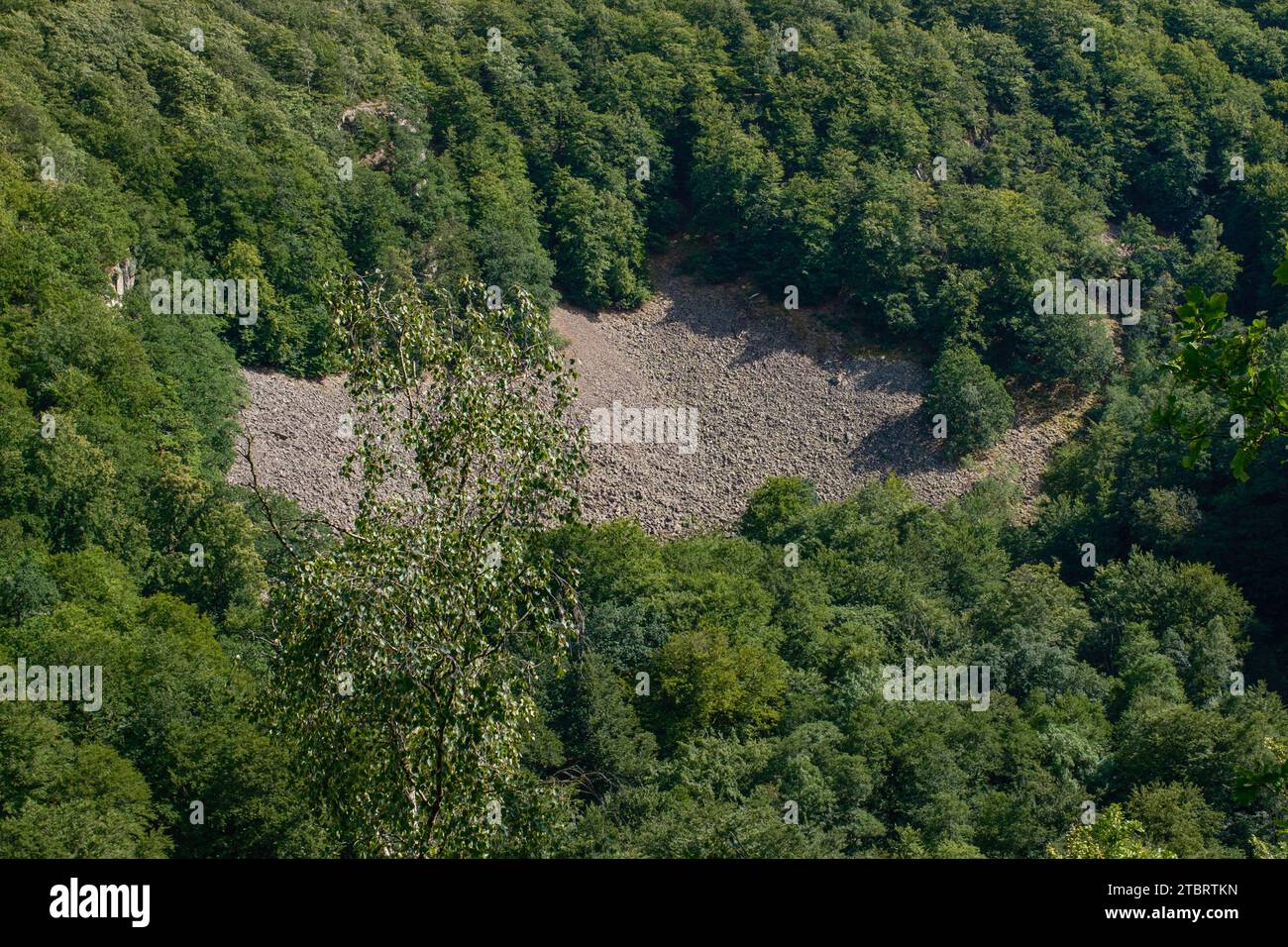 Scree field in the Sodersasens nature reserve Stock Photo - Alamy