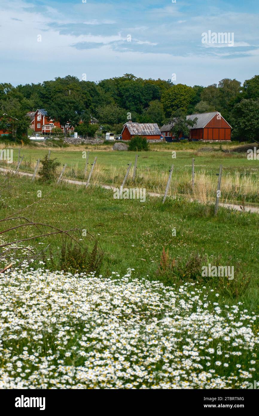 Idyll in sweden hi-res stock photography and images - Alamy