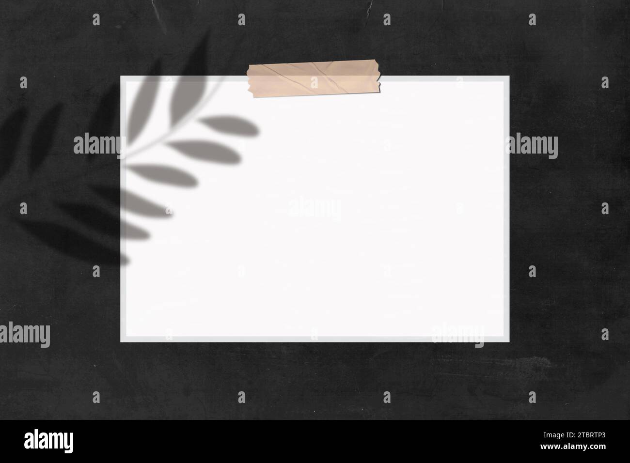 Single polaroid photo mood board mockup Stock Photo - Alamy
