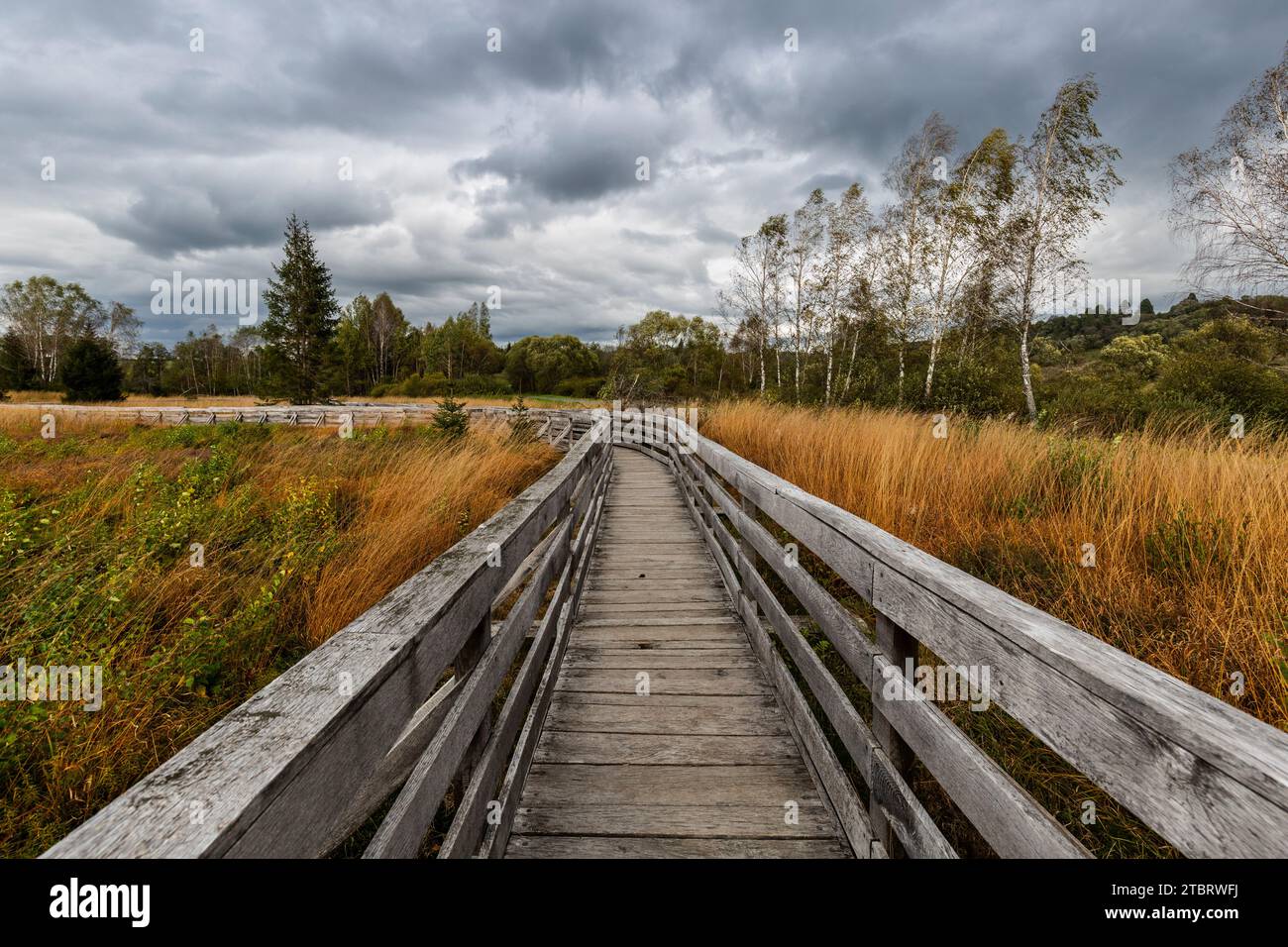 Torfowisko tarnawa tarnawa moors hi-res stock photography and images ...