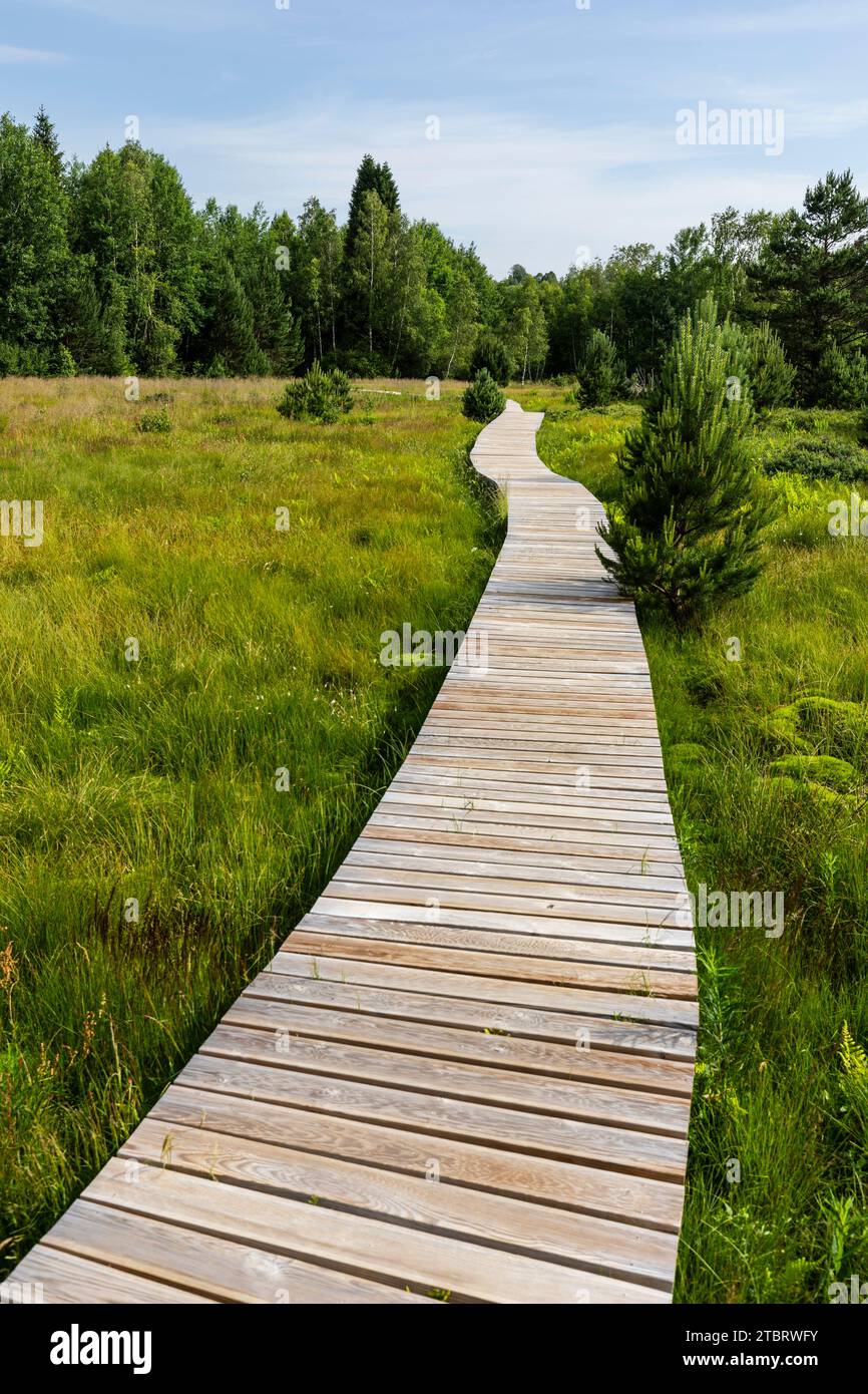 Torfowisko tarnawa tarnawa moors hi-res stock photography and images ...