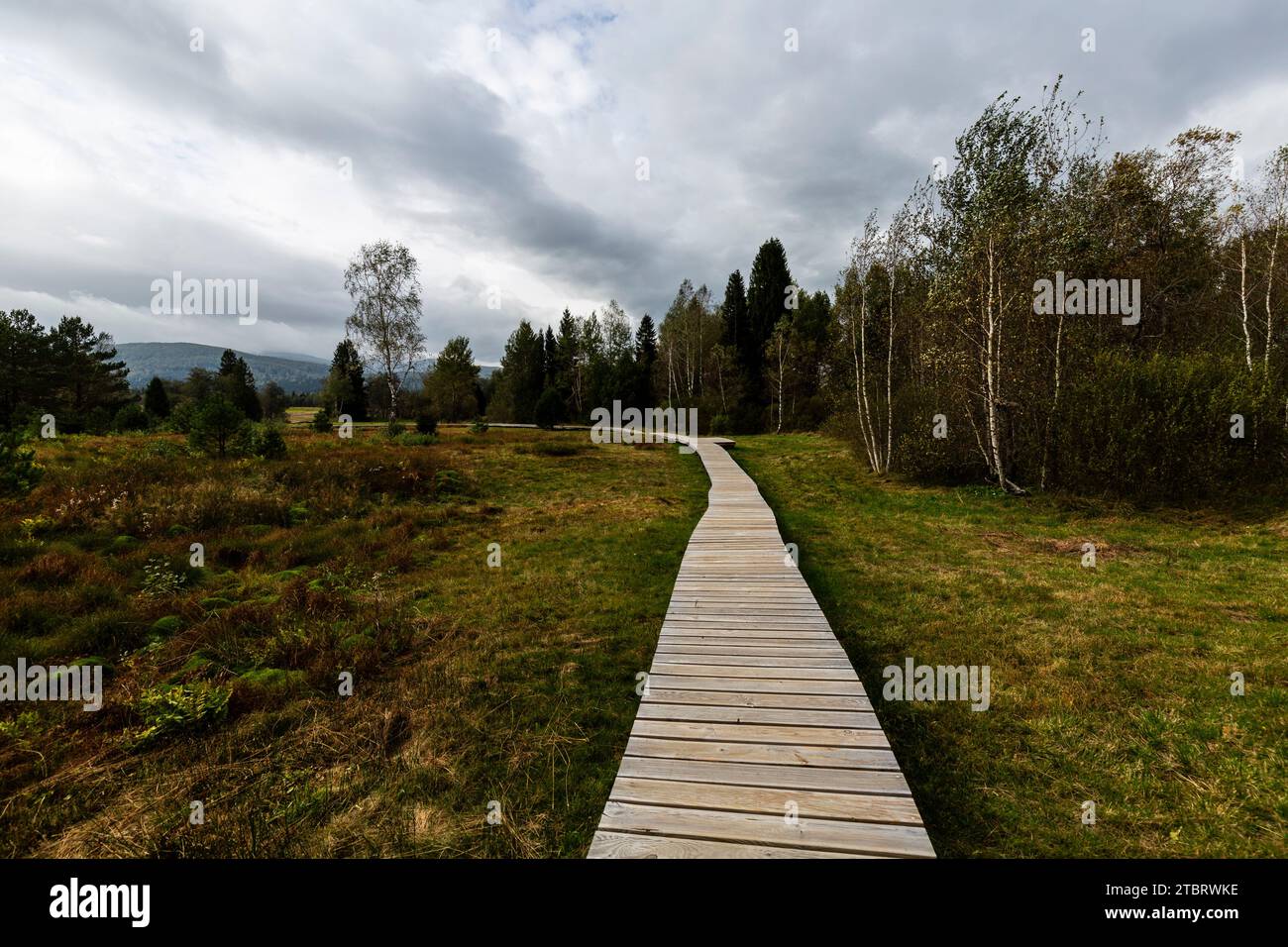 Torfowisko tarnawa tarnawa moors hi-res stock photography and images ...