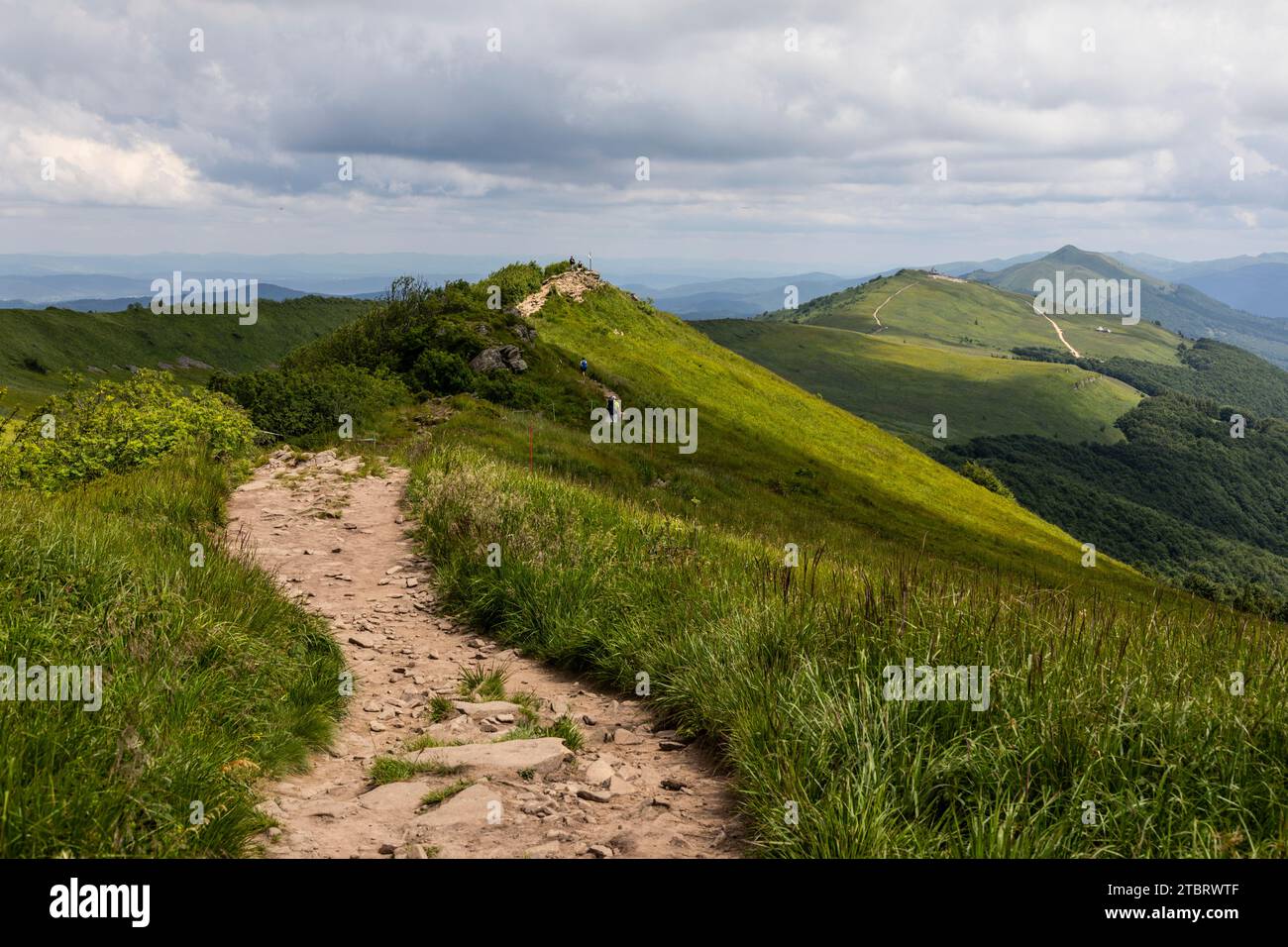 Europe, Poland, Podkarpackie Voivodeship, Bieszczady, Osadzki Wierch in ...