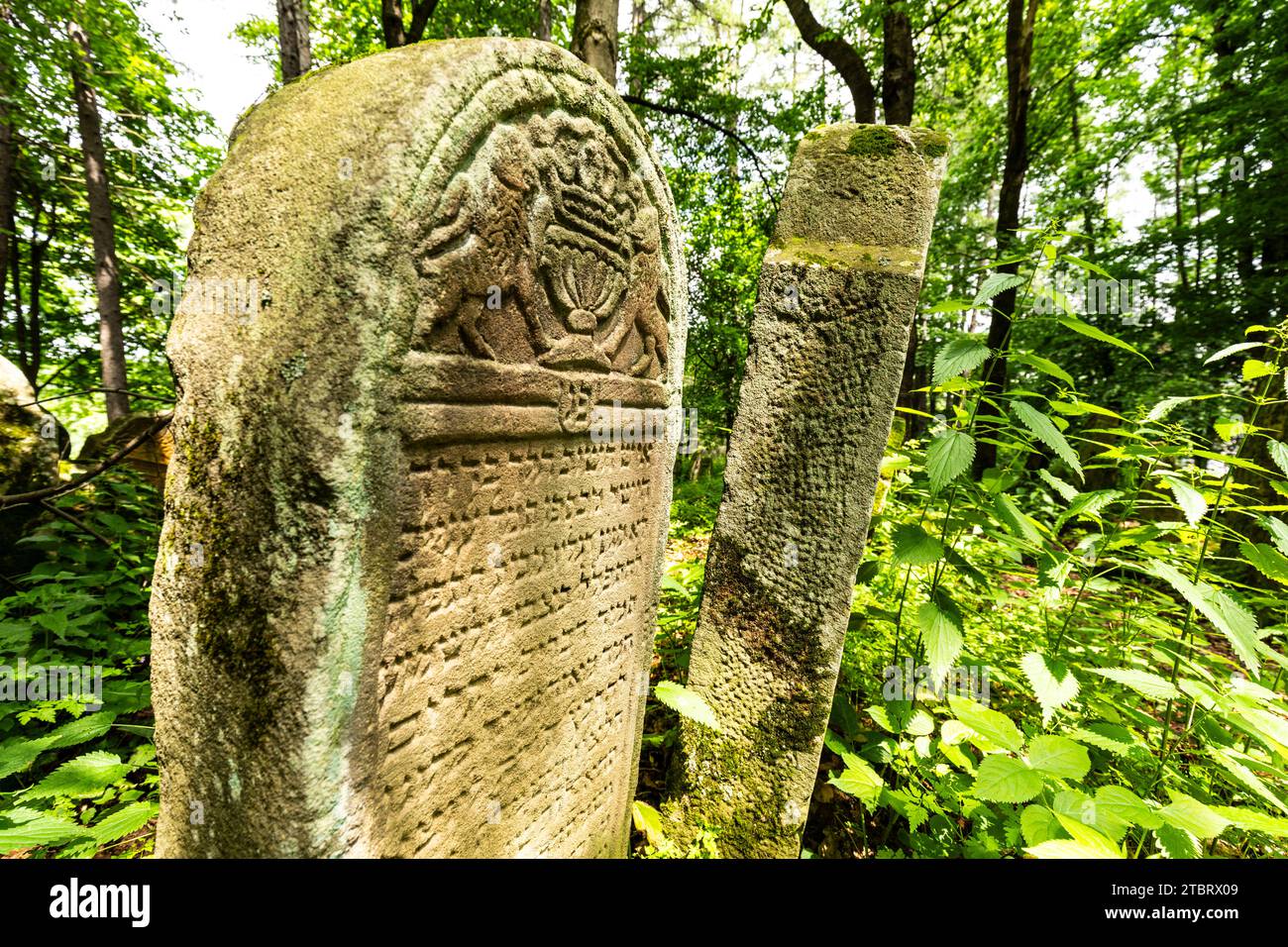 The jewish cemetery in lesko hi-res stock photography and images - Alamy