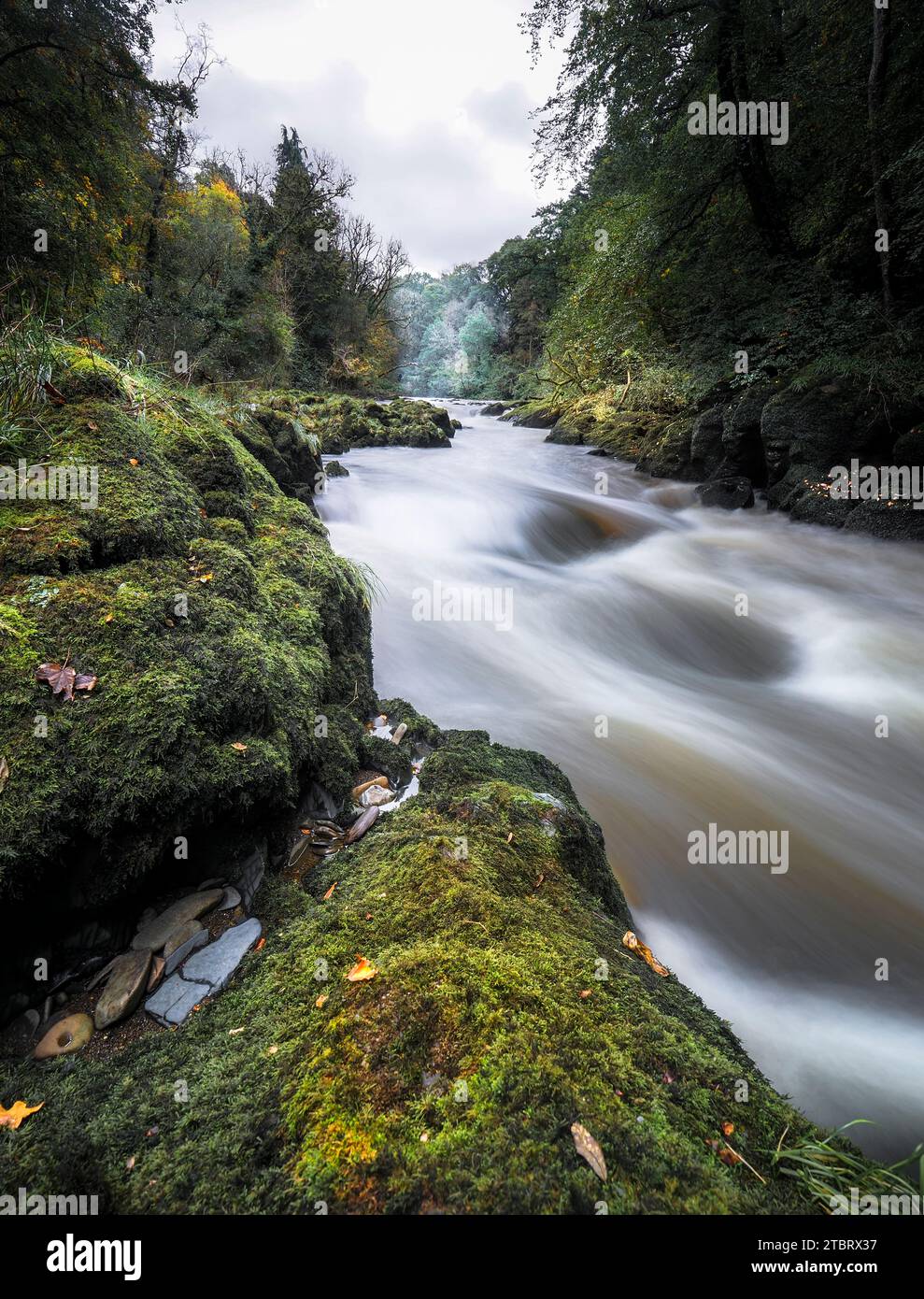 River Teifi at Henllan, Newcastle Emlyn, Wales Stock Photo - Alamy