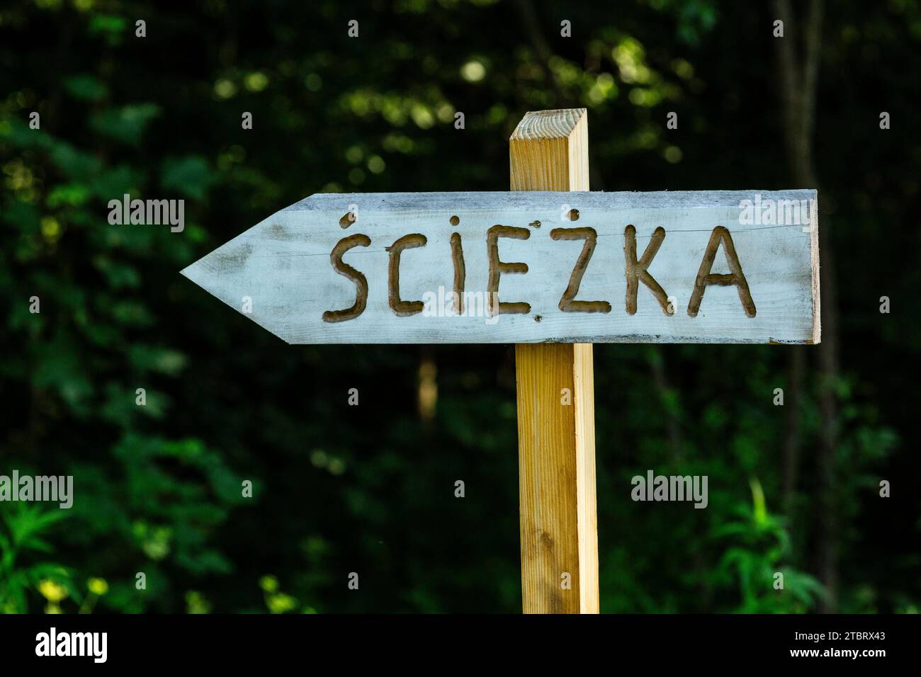 Europe, Poland, Podkarpackie Voivodeship, Bieszczady Mountains, Solinka ...