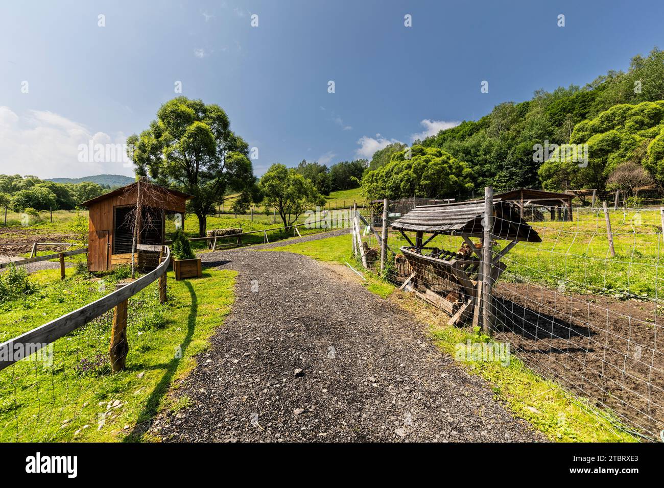 Lesny zwierzyniec liszna forest zoo in liszna hi-res stock photography ...