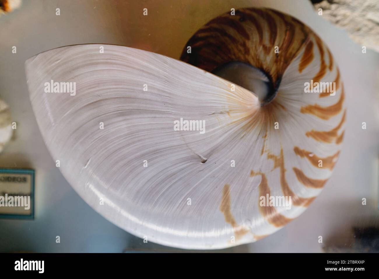 minerals nature geology Stock Photo - Alamy