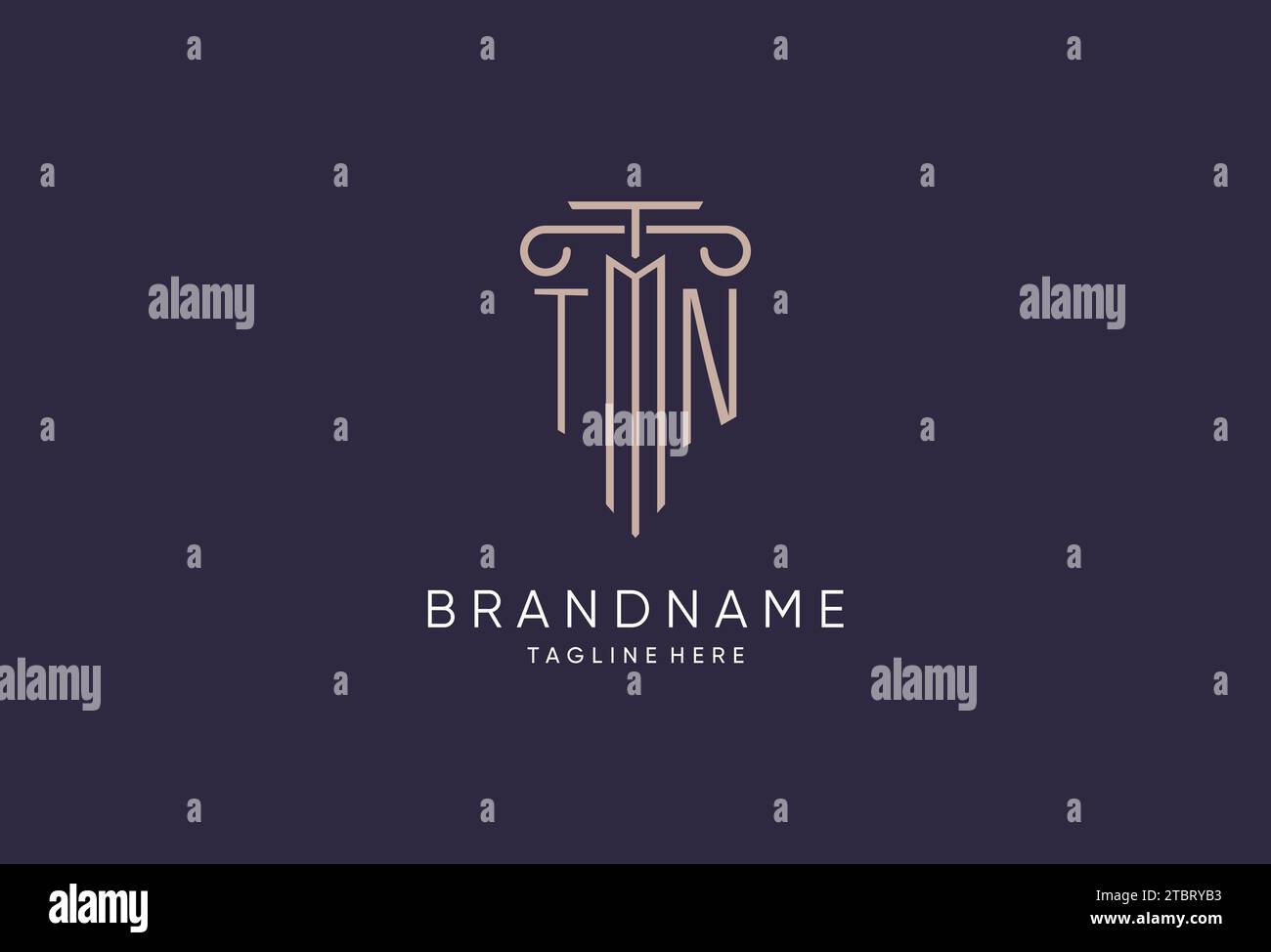 TN logo initial pillar design with luxury modern style best design for ...