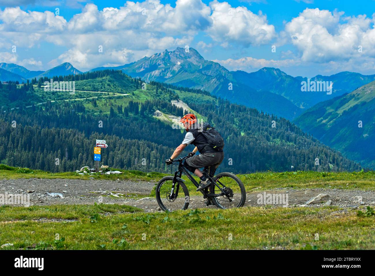 Mountain bikers on an alpine descent in the Chablais Geopark, Montriond ...
