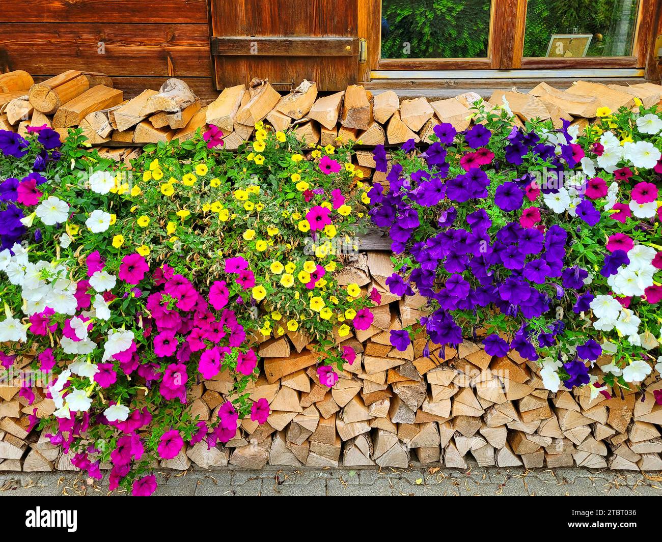 Flower decoration and firewood in front of a farmhouse in Reichenbach ...