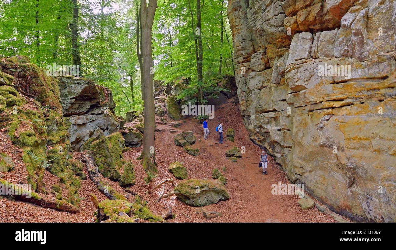 Devils gorge on the ferschweiler plateau hi-res stock photography and ...