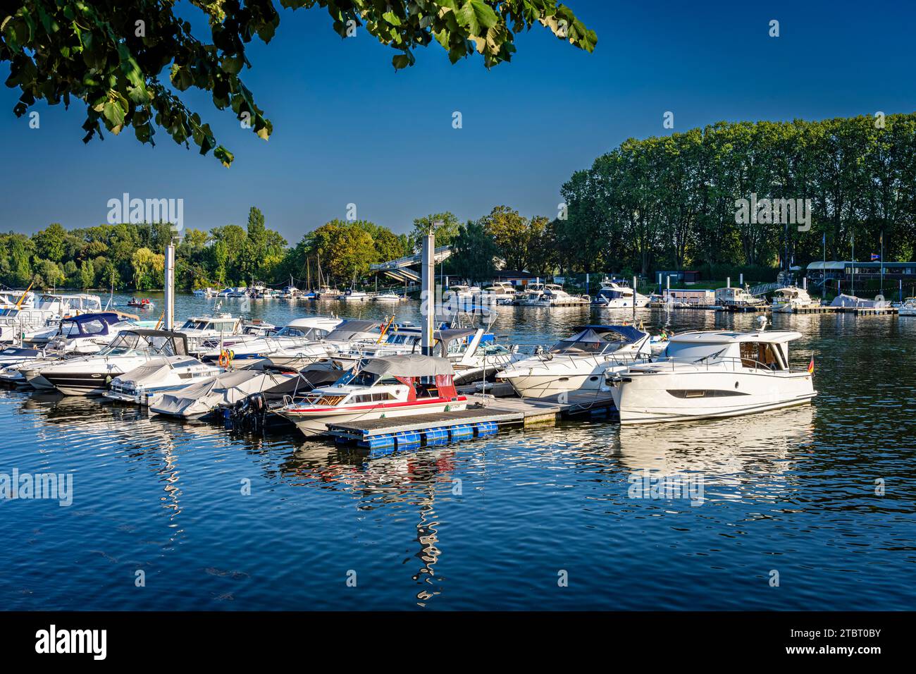 Germany, Hesse, Wiesbaden - Schierstein, Schiersteiner Hafen, local ...