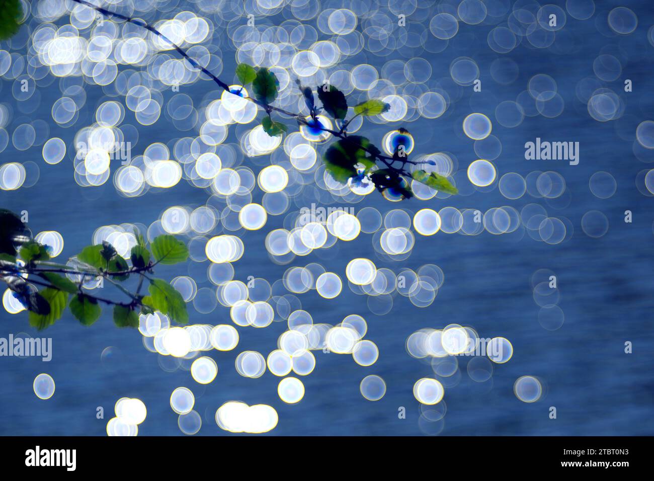 Perfsee hi-res stock photography and images - Alamy