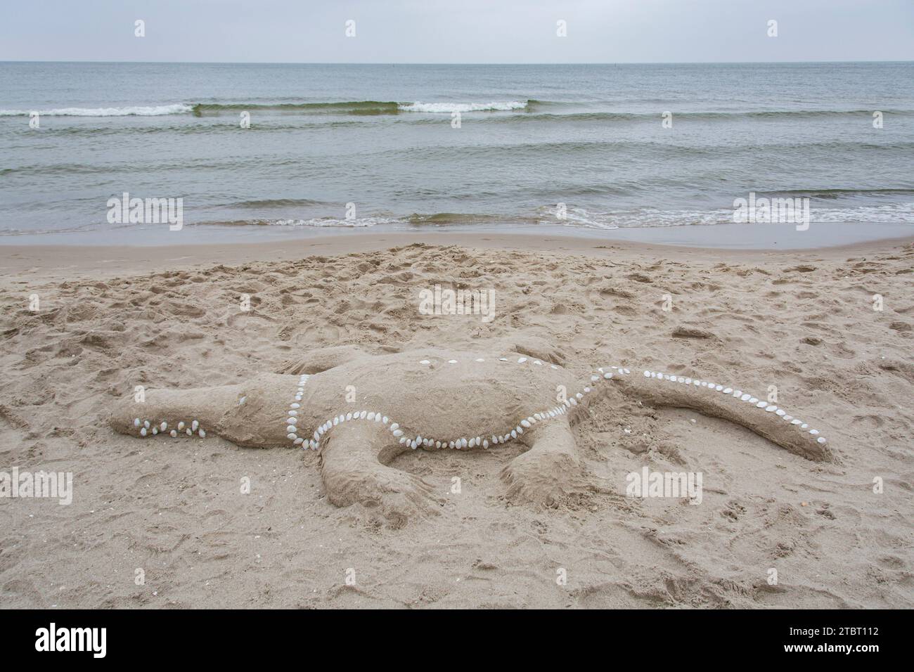 Crocodile made of sand on the beach hi-res stock photography and images ...