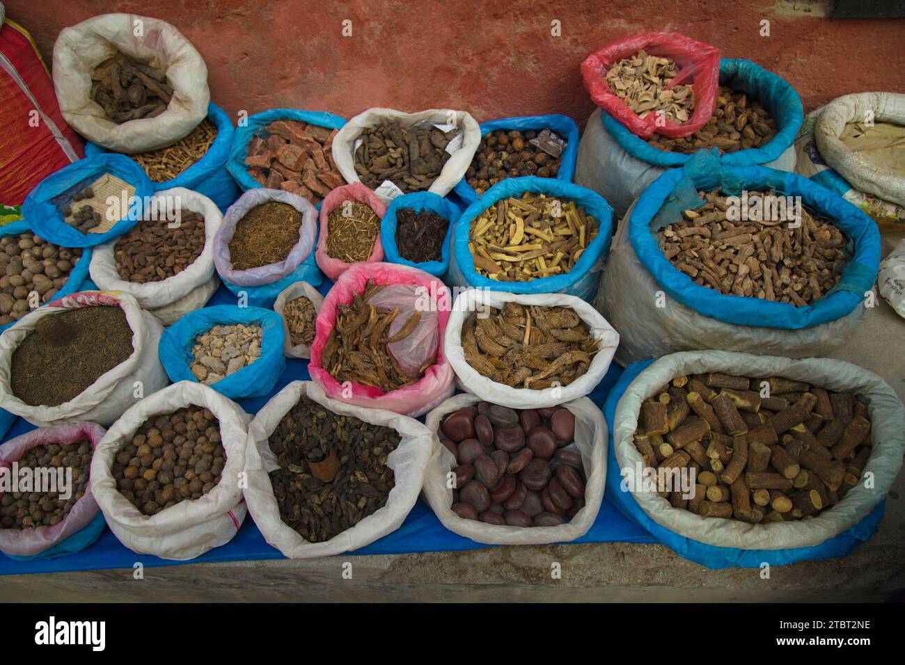 Nepal, Patan, Dashain festival, market, food, spices, vegetables Stock ...